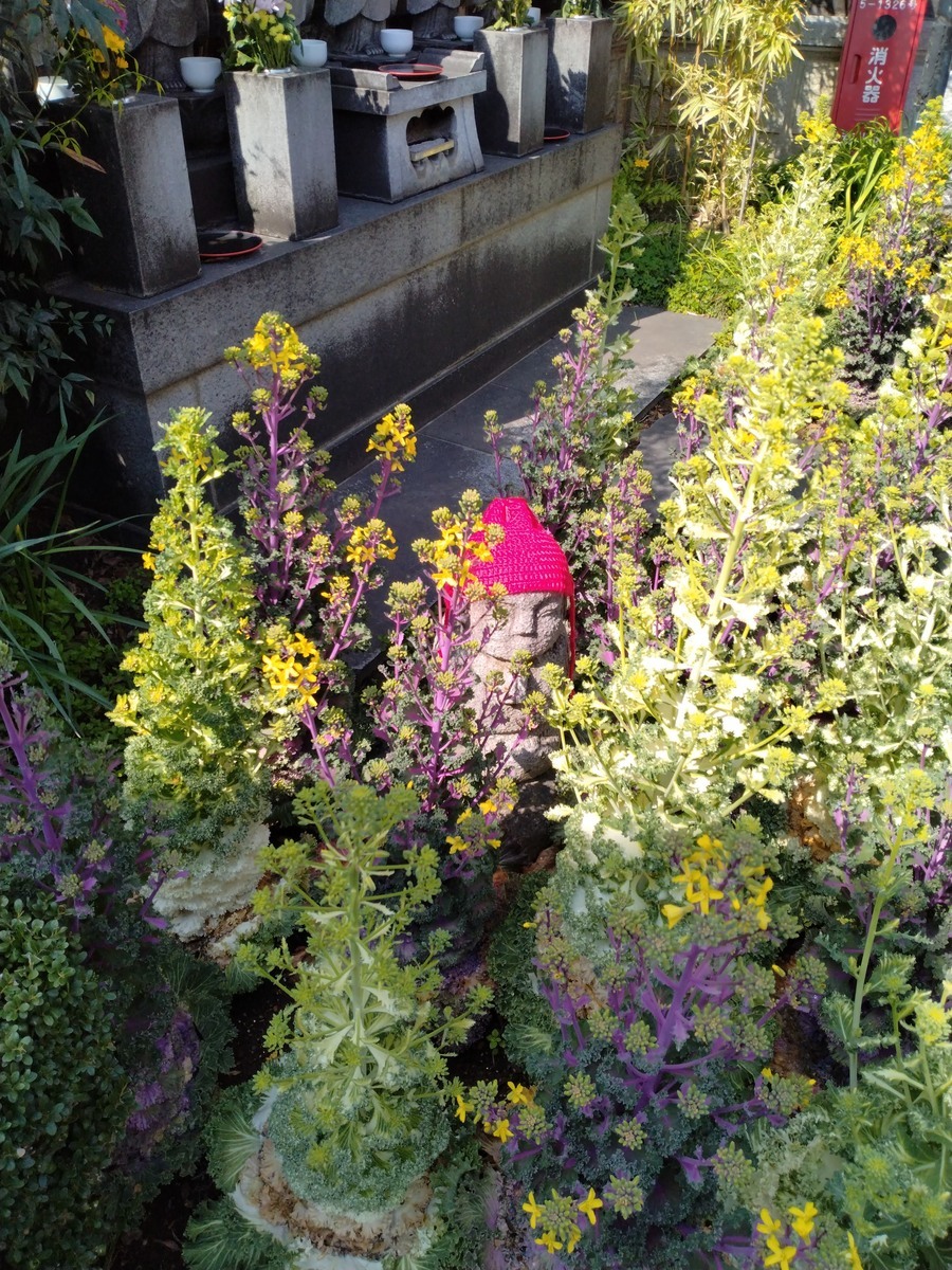 令和5年3月31日(金) 春うららの隅田川♪: (遊)紺野商店