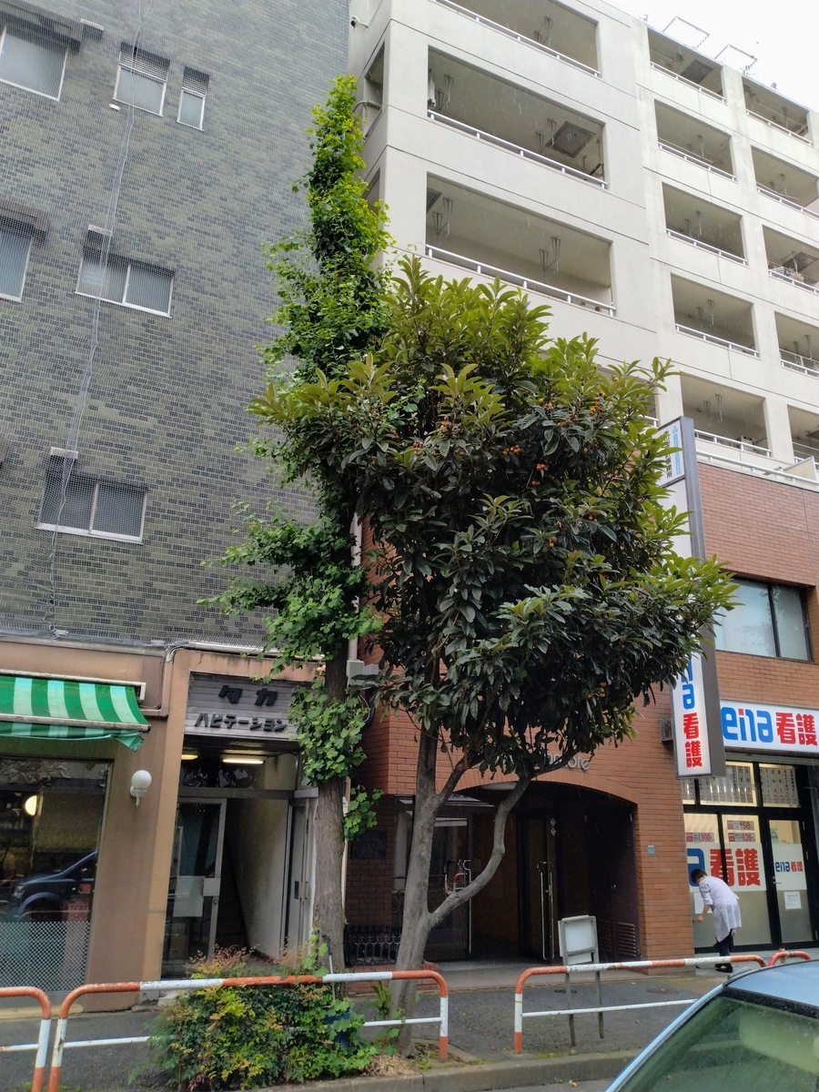 令和5年6月16日(金) どうでも池袋♪: (遊)紺野商店